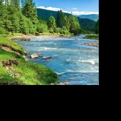 Ralph "Bill" Seib (September 2, 1945 - May 8, 2025) | Obituaries – Lake ...