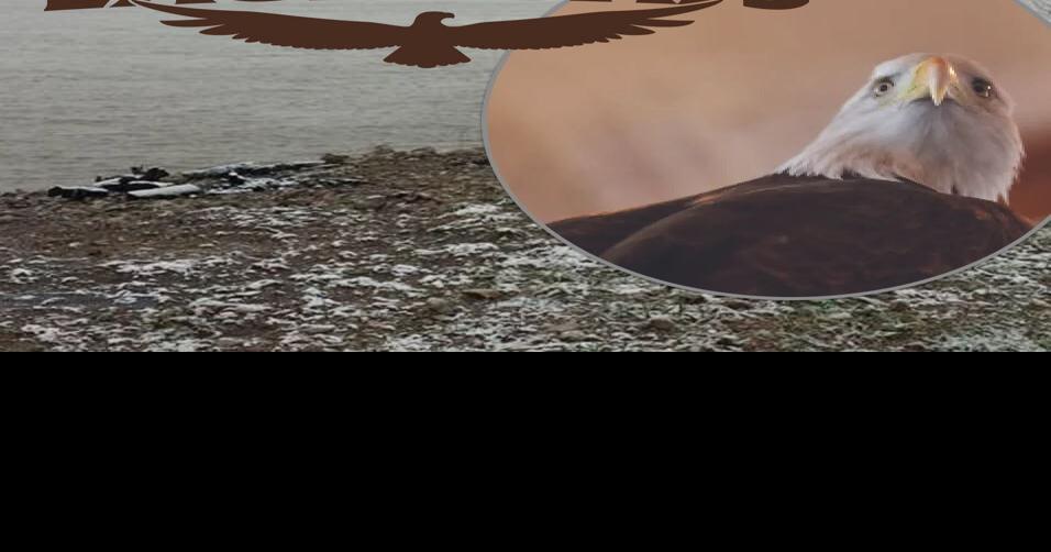 Lake of the Ozarks Eagle Days Presented by Ameren Missouri | Family ...