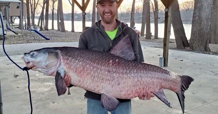 Angler Catches Enormous 112-Pound Black Carp On The Osage River ...