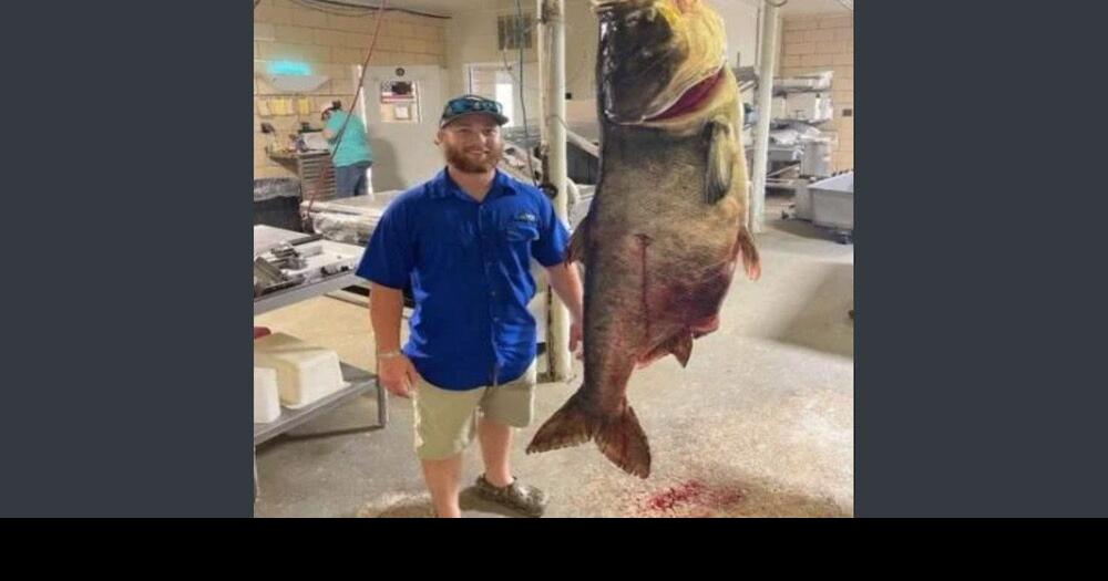 Missouri Bow Fisherman Shoots Massive Invasive Carp | Fishing & Hunting ...