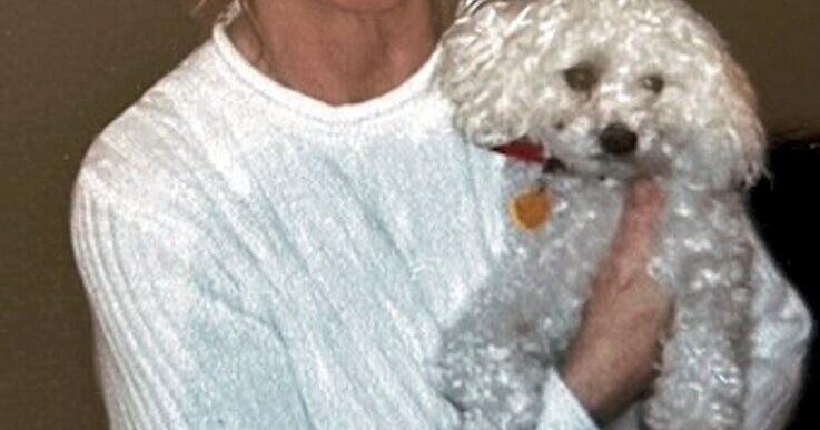Catherine (Cathy) “Cate” Mary Scher (September 28, 1946 - January 24 ...