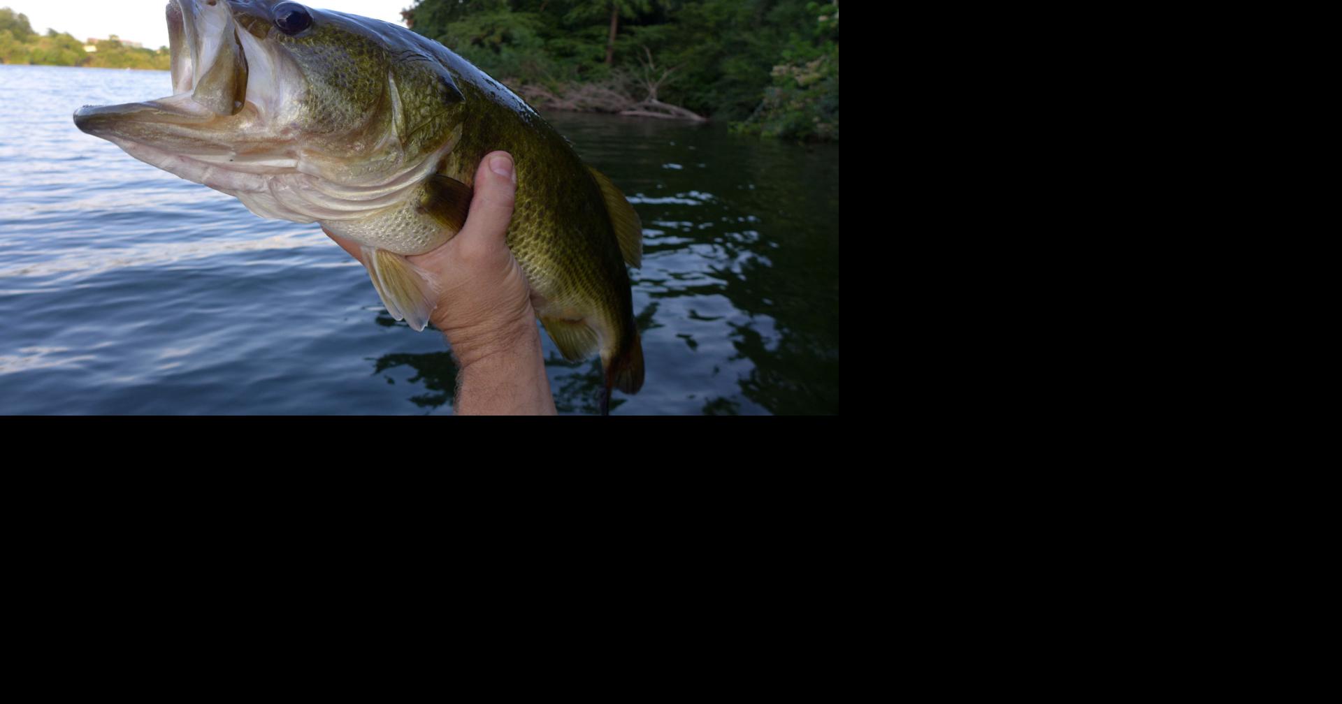 2026 Alhonna Spring Classic Open Bass Buddy Tournament | Upcoming ...