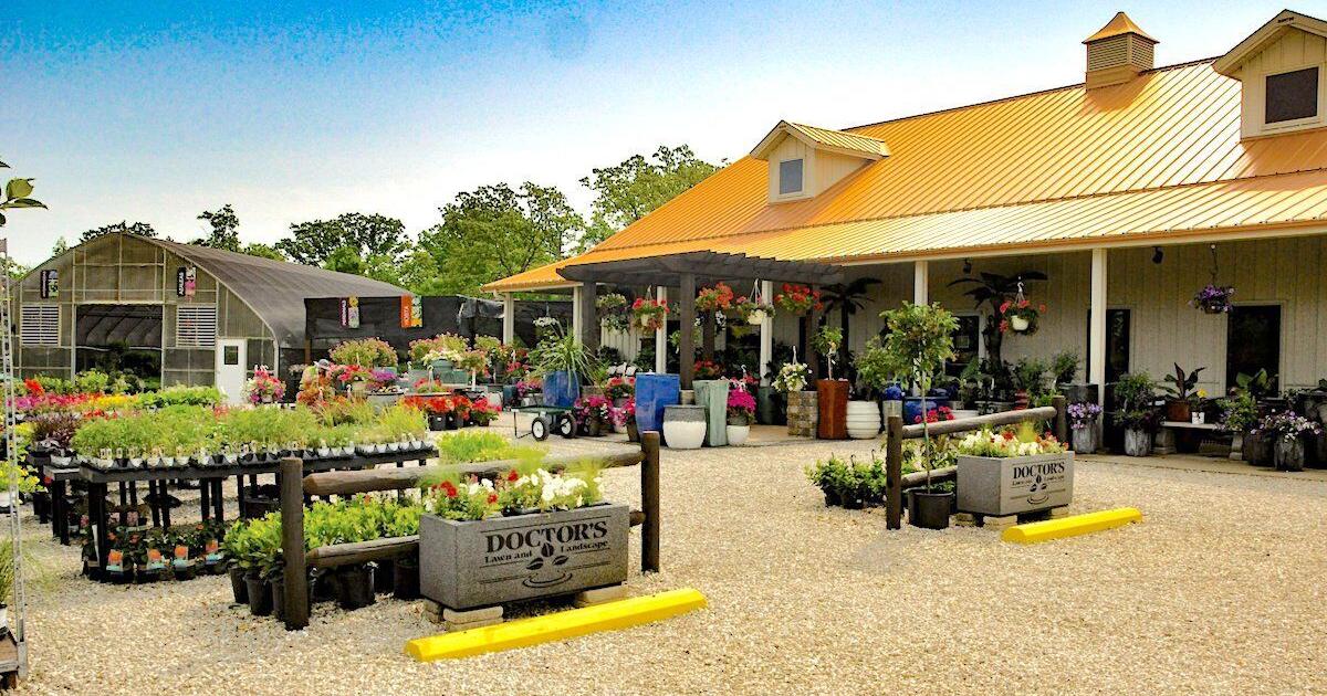 Family Fun All Day At Doctor's Lawn & Landscape! 15% OFF During ...