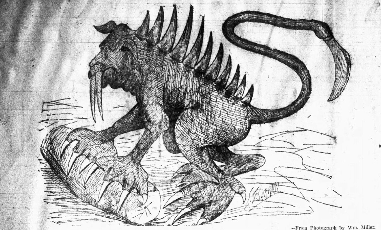 Ozarks Cave Dragon? New TV Series Dives Into Fierce Creature's Folklore ...