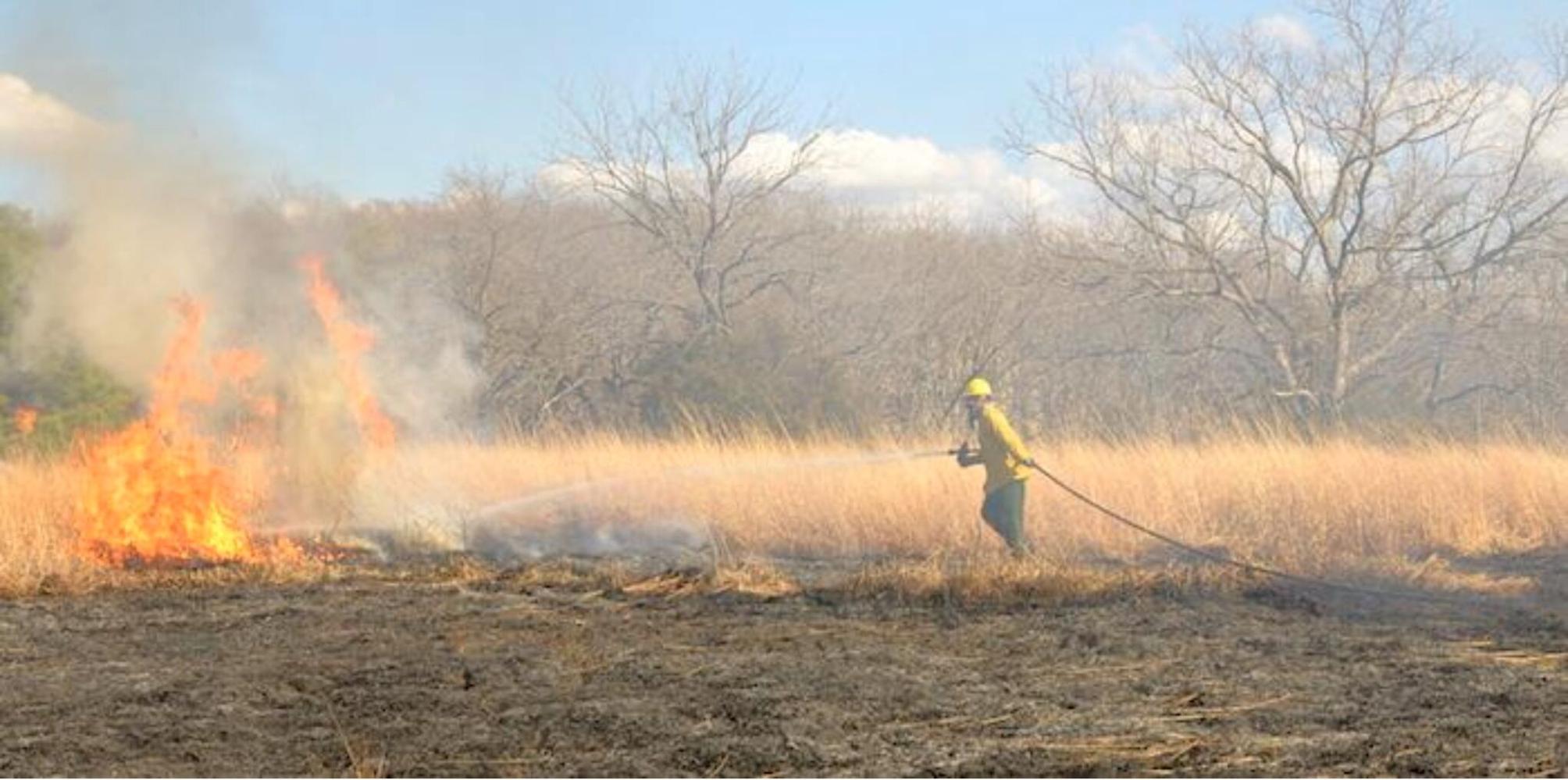 Windy Weekend: Trees Downed On Power Lines Spark Fires In Lake Area ...