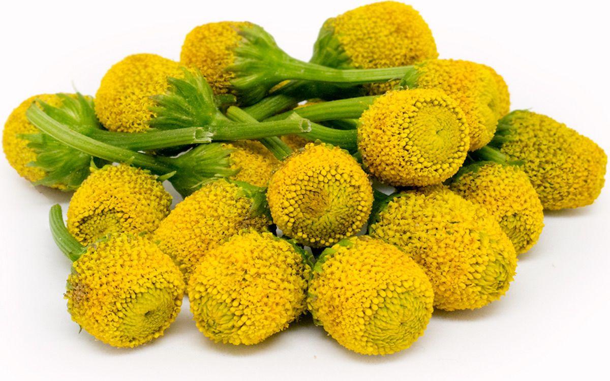 Zambu! The Tingly Vodka Made With A Flower From The Amazon Is Now On ...