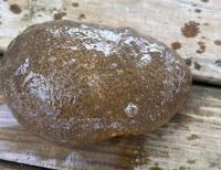 The Blob Returns! Boaters Are Buzzing About Strange Creatures Floating ...