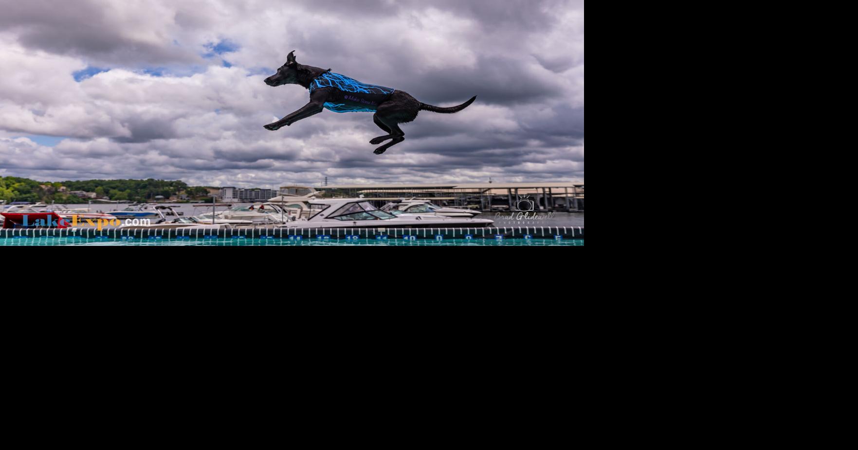 PHOTOS: High-Flying Hounds This Year At Dog Days! | Lake Events ...