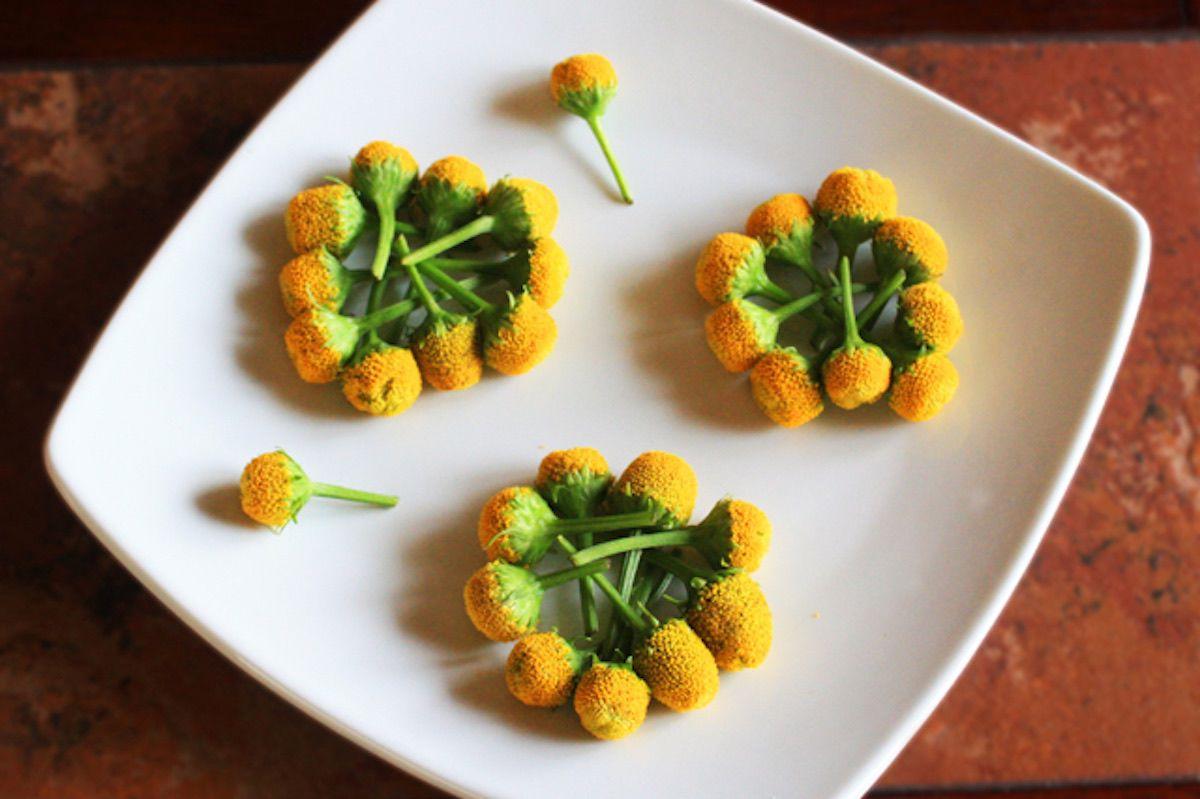 Zambu! The Tingly Vodka Made With A Flower From The Amazon Is Now On ...