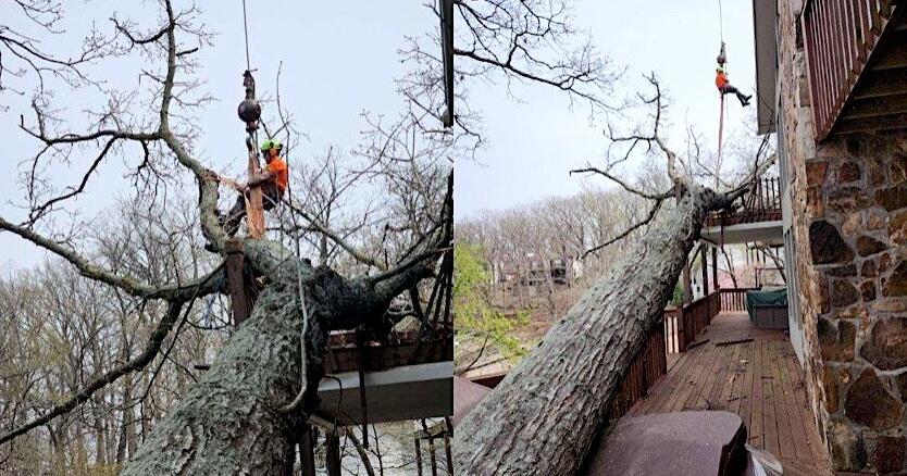 Navy SEAL With A Chainsaw Is Cleaning Up Trees & Debris From Lake Area ...