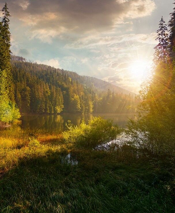 Bradley Steven "Steve" Hecker (November 22, 1960 - October 15, 2025) | Obituaries – Lake of the ...