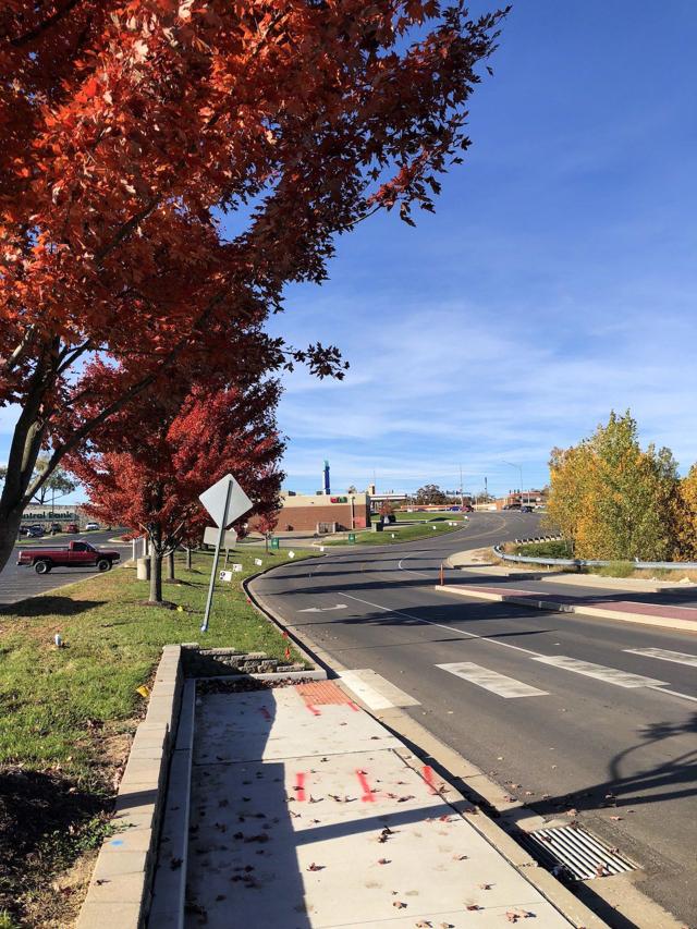 Fall Foliage Loop! The Ultimate Route To See Stunning Fall Colors At ...