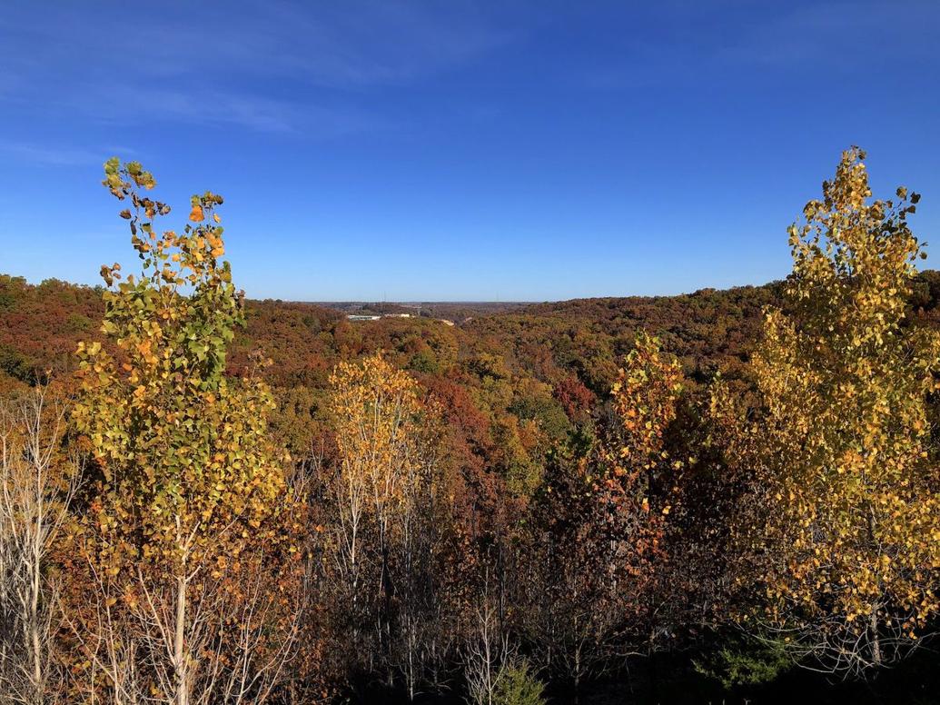 Fall Foliage Loop! The Ultimate Route To See Stunning Fall Colors At ...