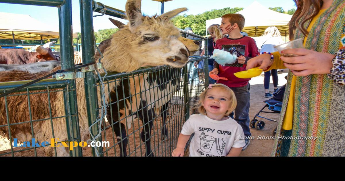 PHOTOS: Osage Beach Fall Festival Fun! | Lake Events | lakeexpo.com