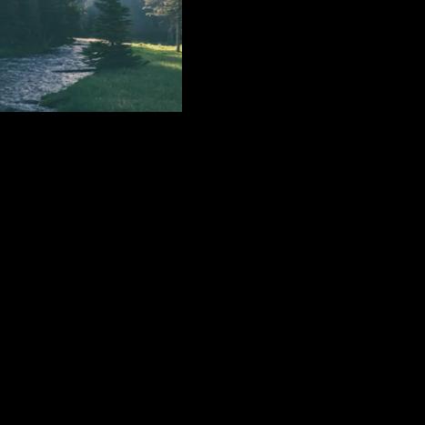 Lyle Lee Weiss (January 28, 1940 - January 30, 2024) | Obituaries ...