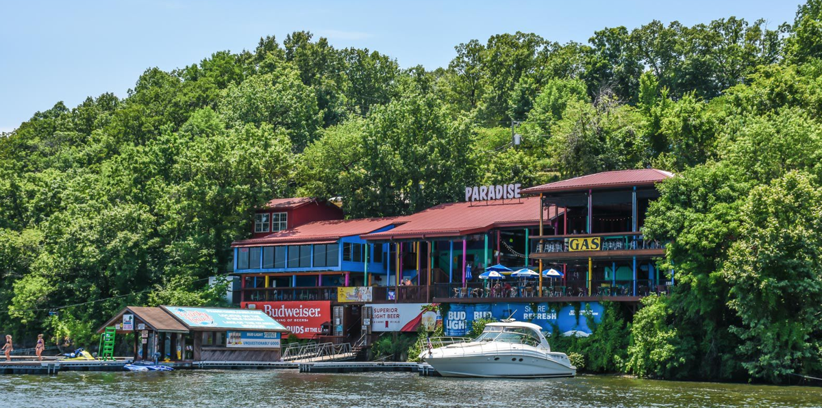 tropical paradise bar