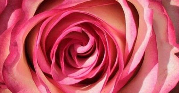 Tonia Dawn Samuel (July 10, 1954 - April 4, 2025) | Obituaries – Lake ...