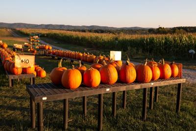 Things to do and places to visit for Halloween in Virginia | News ...