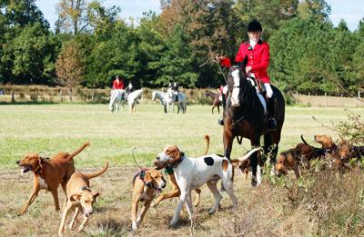 cornwall fox hunts