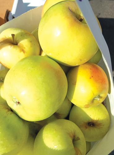 Apples arrive at the Warren County Farmers Market | News ...
