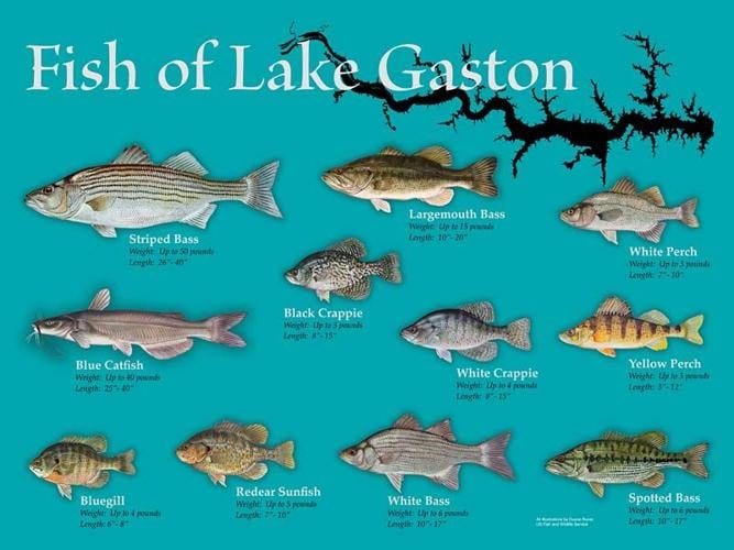 The signs you see at parks, beaches and historical sites? They have a ...