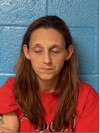 Halifax County Sheriff's Office investigation leads to 2 arrests | News ...
