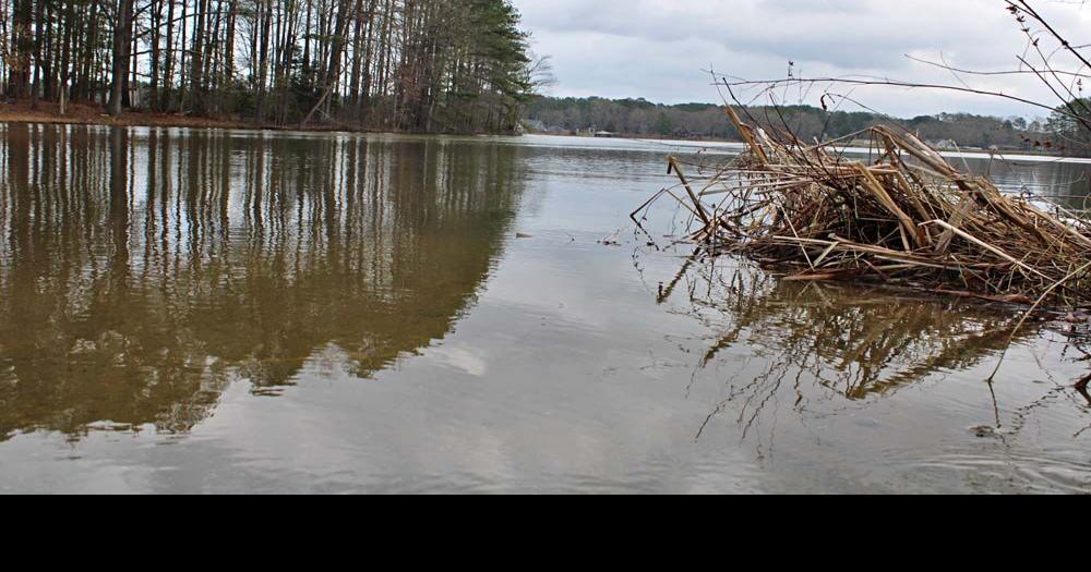 Lake Gaston 2nd lyngbya treatments of 2021 | News | lakegastongazette ...
