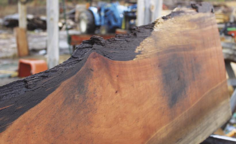 Mornin Wood Forest Products turns locally sourced logs into artisan ...