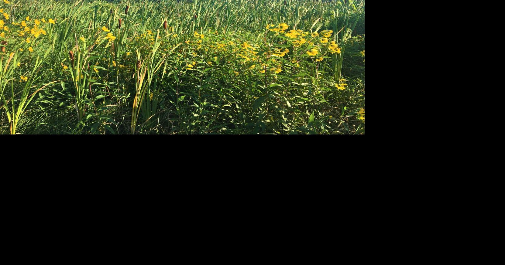 DNR now accepting entries for 2024 state park and forest vehicle ...