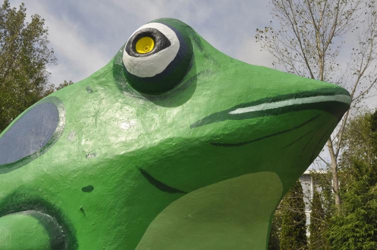 Fontana's famous frog looking perfect as a prince