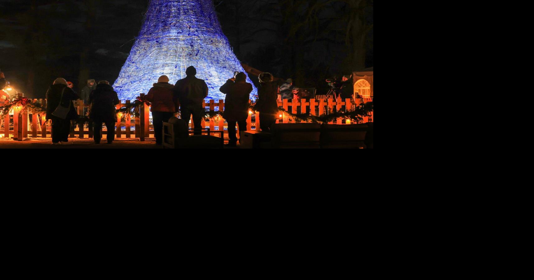 Return of the Glass Tree: How art, community & sustainability collide ...