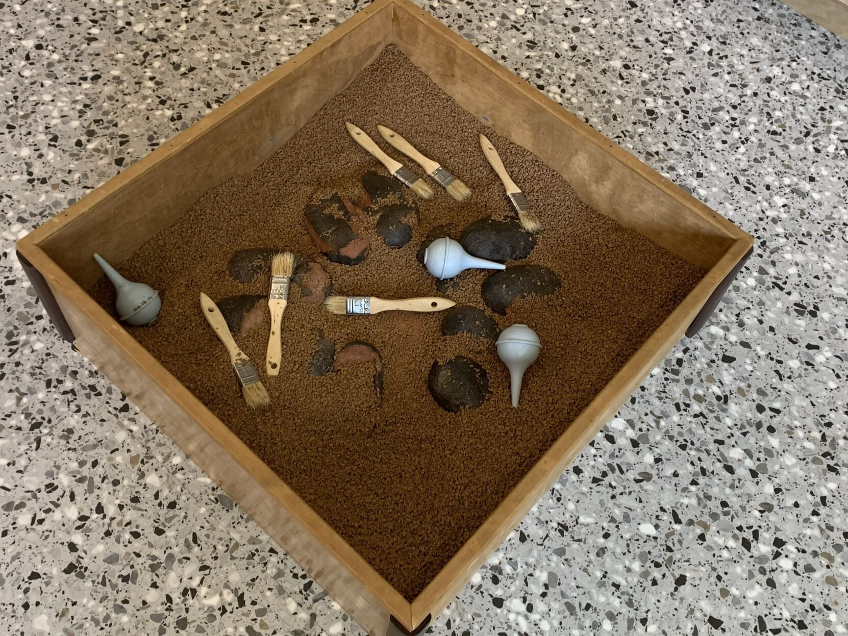 Lake Geneva Public Library conducts dinosaur program
