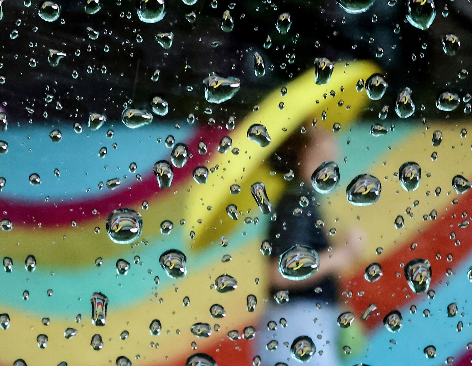 Wisconsin State Journal 2025 pictures of the year