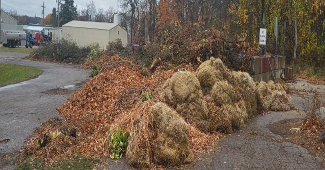 Lake Geneva propose changes for brush drop-off program