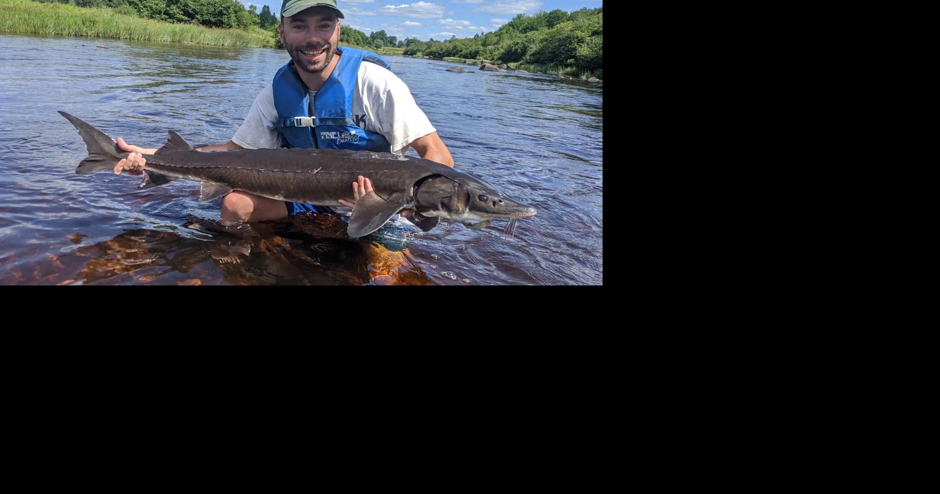 Hook and line sturgeon season runs Sept. 2-30