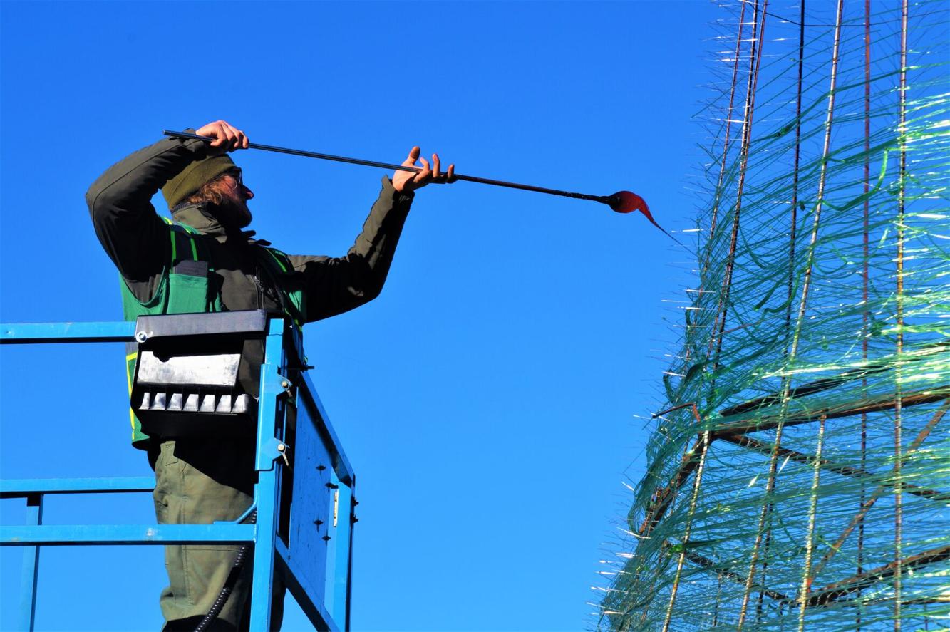 Tree-mendous new tradition; The World's Tallest Glass Tree comes to ...