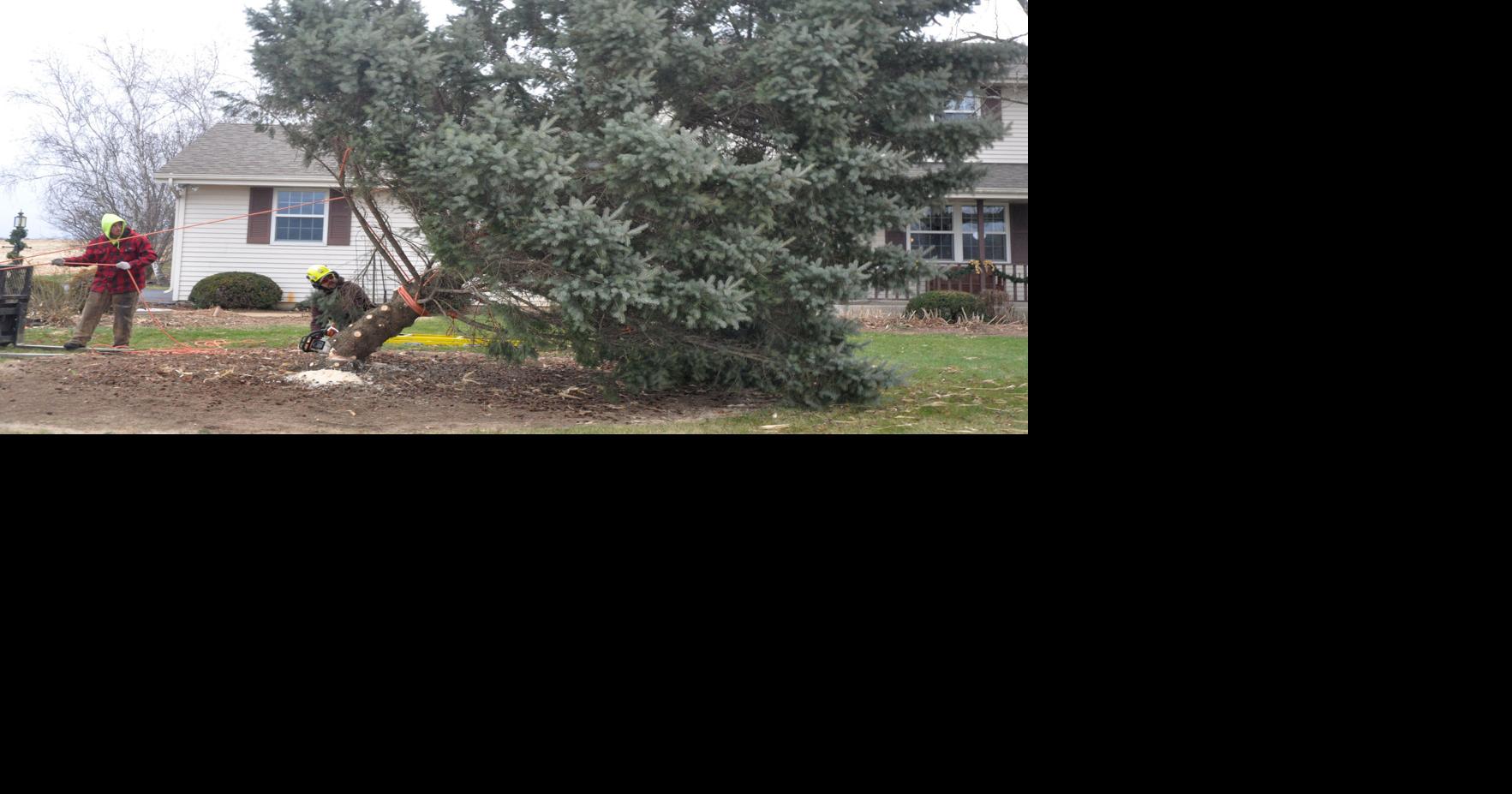 The story behind this year's Downtown Lake Geneva tree