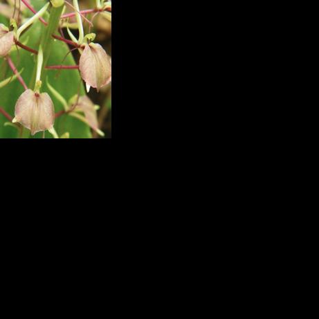 Kettle Moraine program will help nature lovers identify Wisconsin's ...