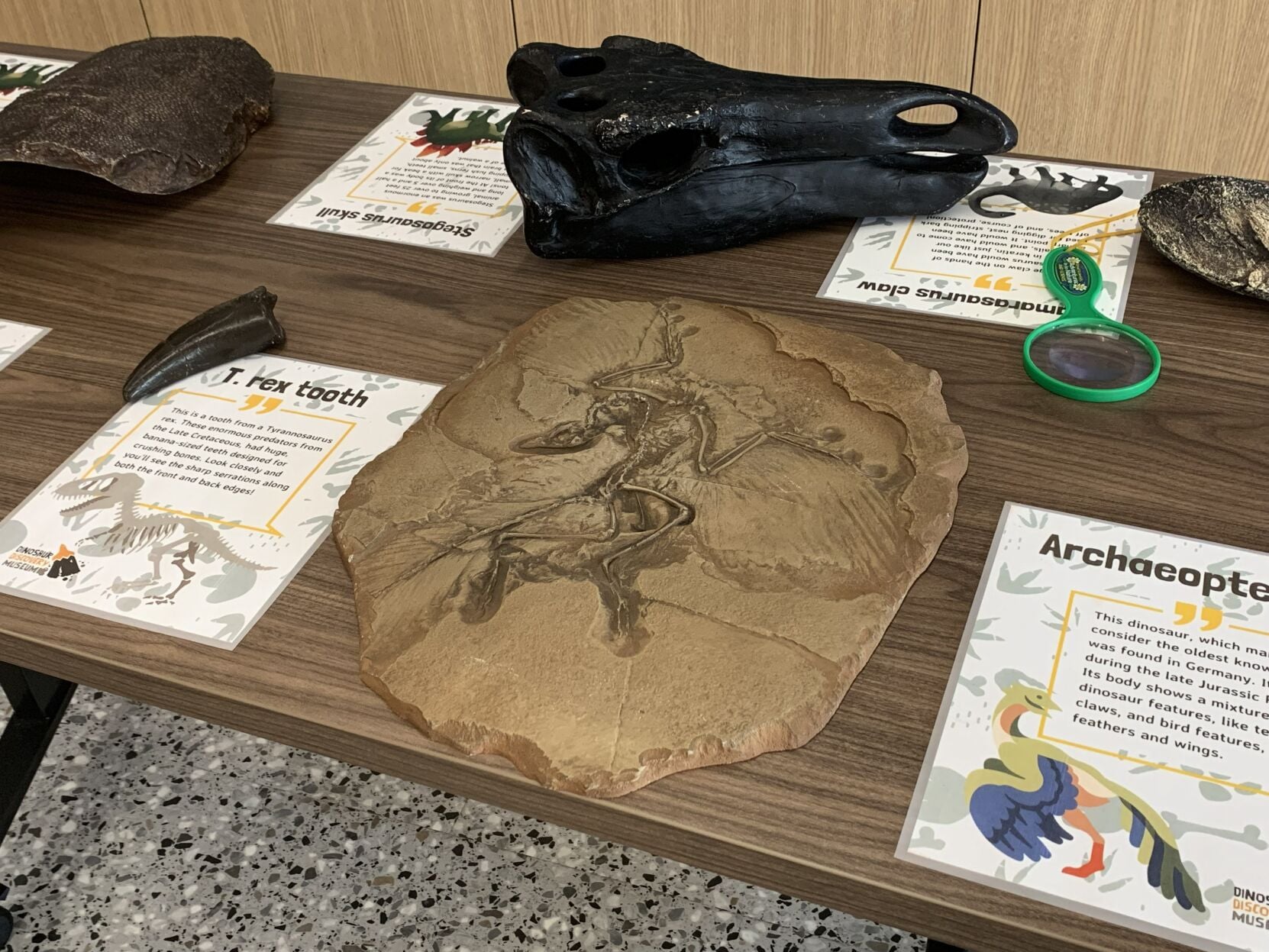 Lake Geneva Public Library conducts dinosaur program