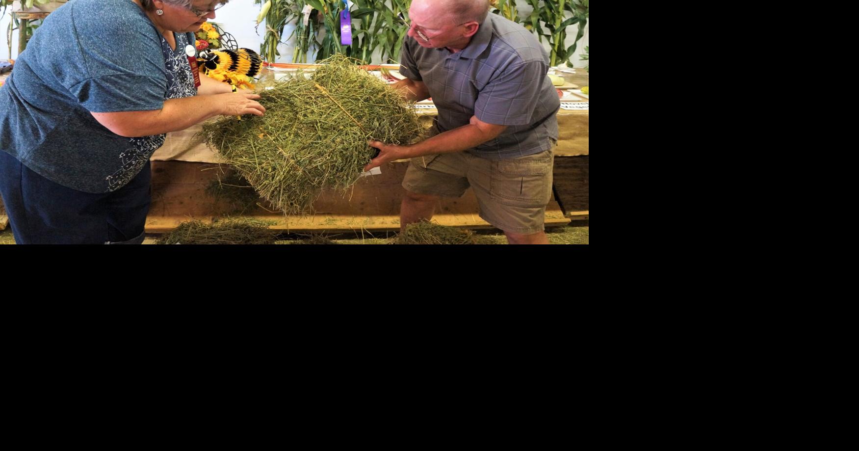 Lake Geneva Regional News county fair photos earn international ...