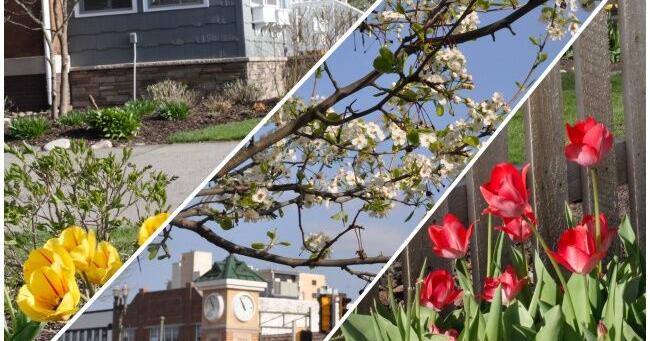 Photos showing spring in Lake Geneva