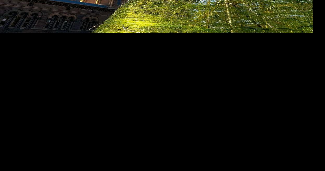 NEW RECORD FOR WORLD'S TALLEST GLASS TREE