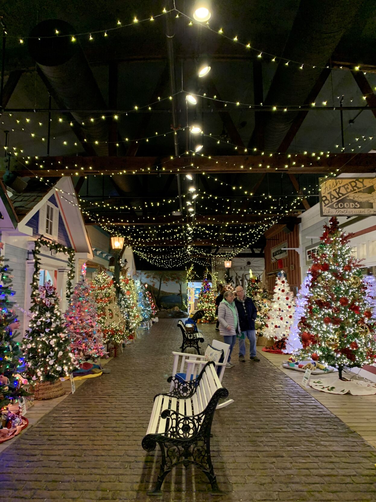 9 things to do around Lake Geneva Dec. 14-24, 2022: Trees, trains ...
