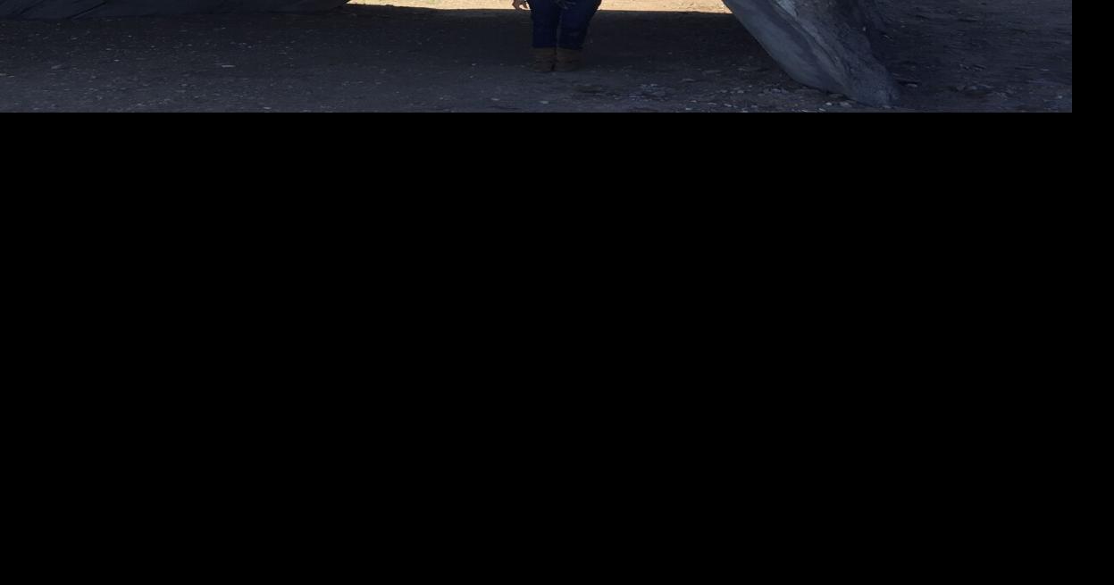 Tippet Rise announces new season | News | laureloutlook.com