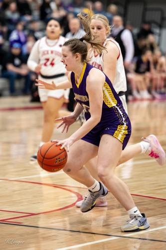 Roller coaster divisional meet brings end to Laurel girls basketball ...