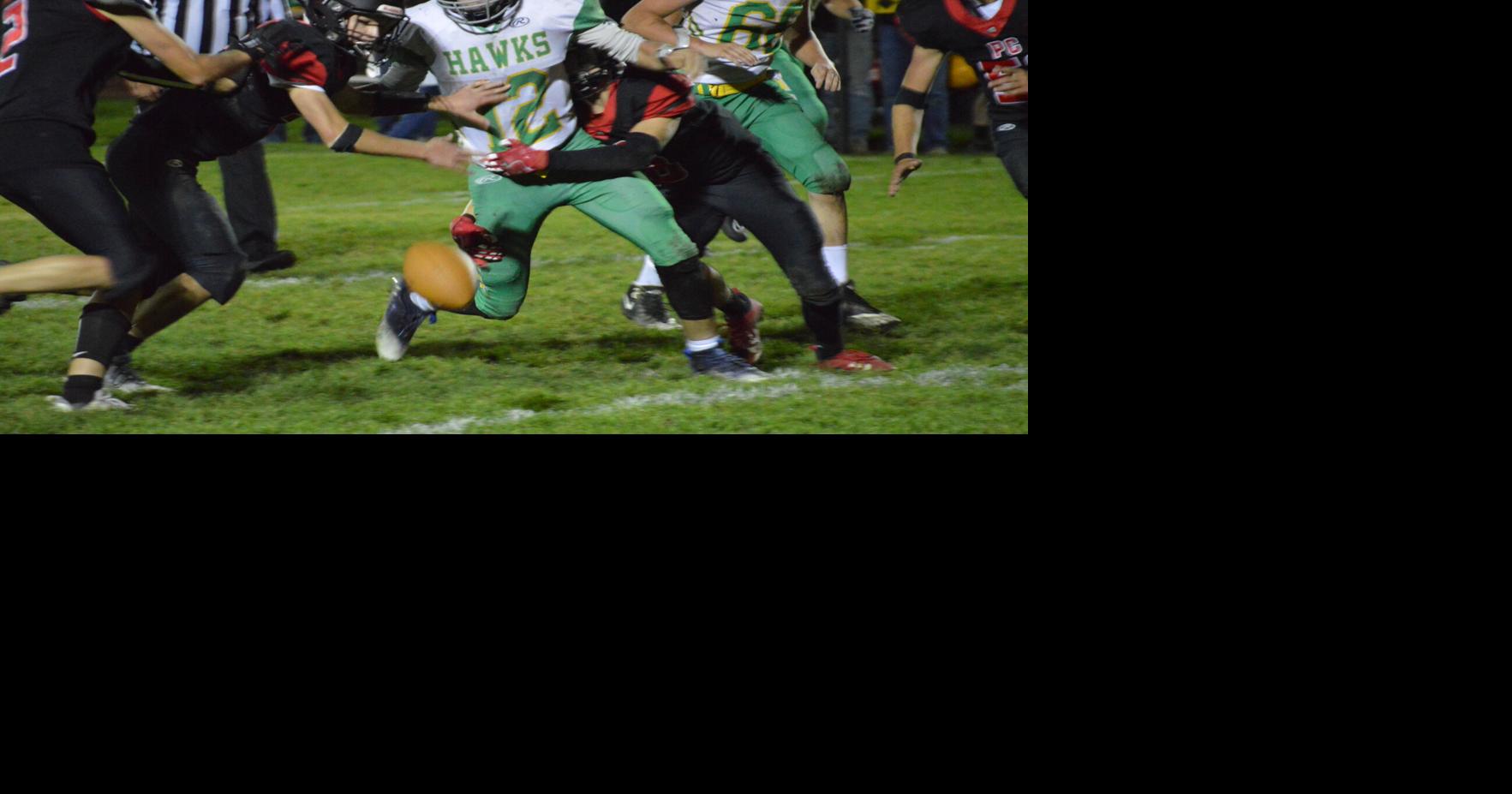 Panthers finish strong with playoff appearances for football ...