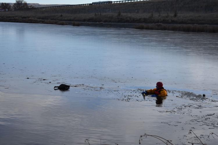 Laurel firefighter rescues Canada goose from South Pond | News ...