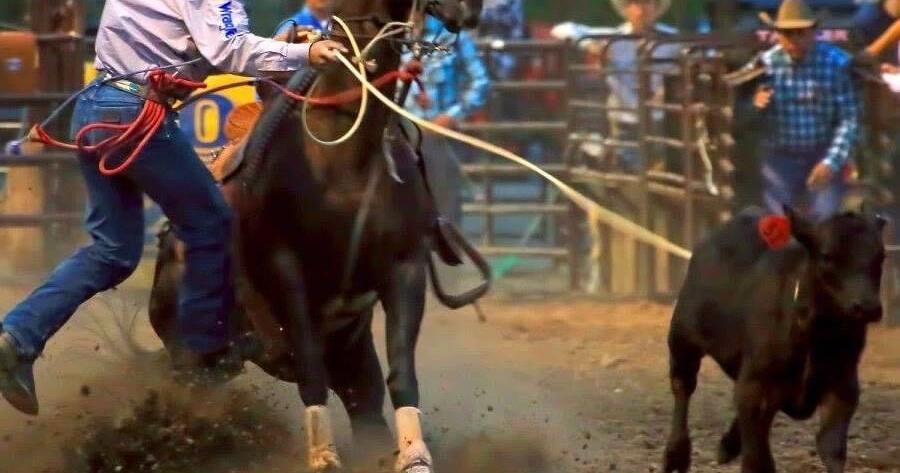 Meged puts together hot streak at NFR in Vegas | Sports | laureloutlook.com
