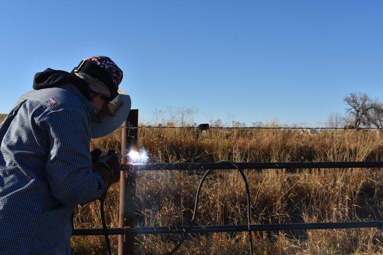 Joliet junior sets sights on opening his own welding business after ...