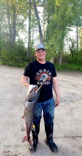 Paddlefish season opens May 1 on Upper Missouri River, May 15 | News ...